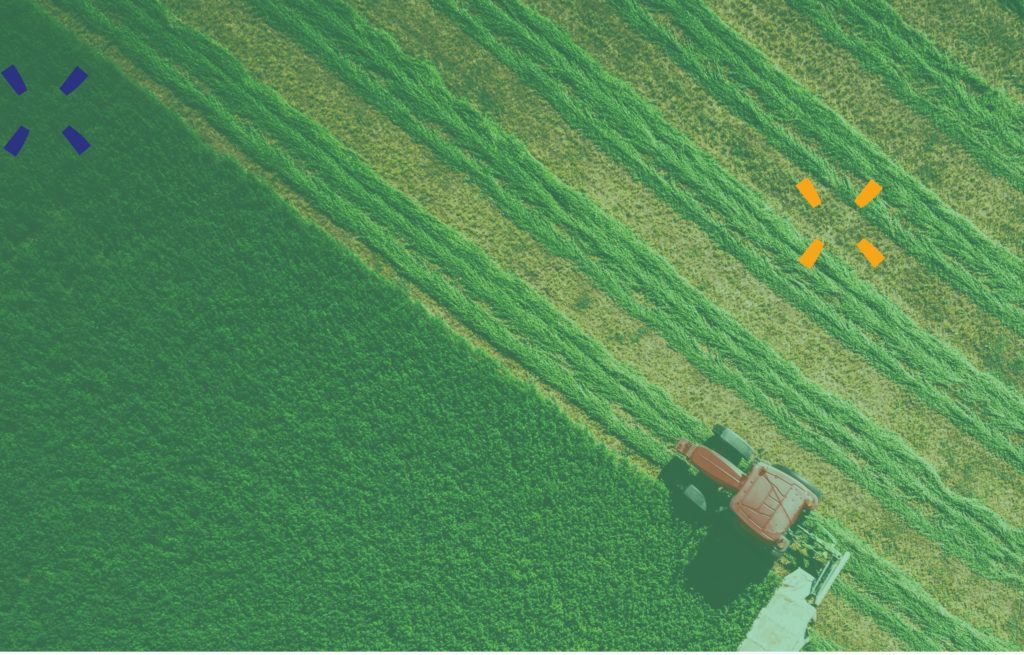 AEELA_photo - CCV COMMUNAUTE